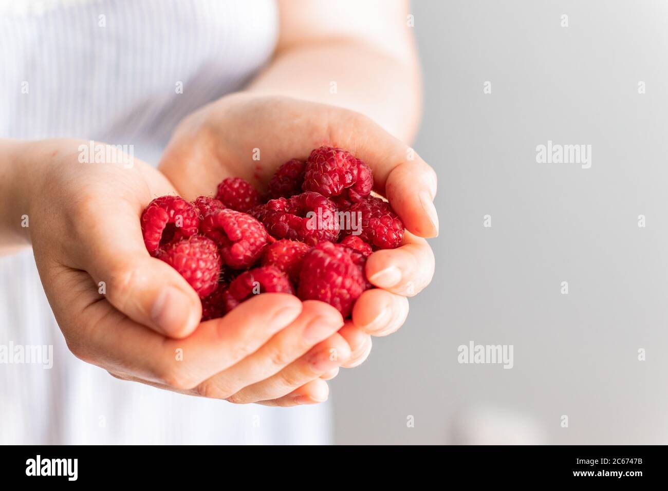 Hand with red raspberries.Raspberries in the hand. Freshly harvest ...