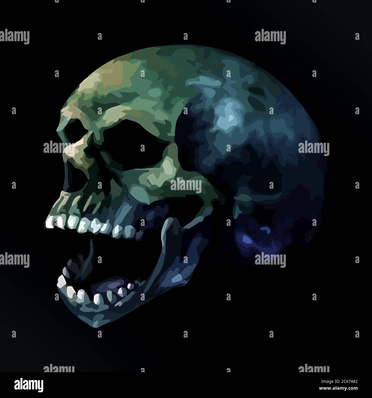 Human Skull Profile Open Jaw