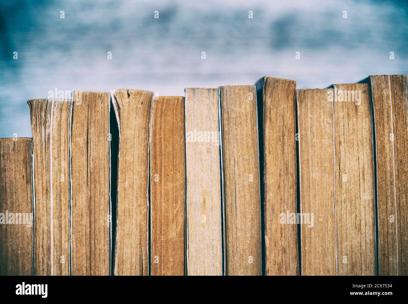Full book shelf hi-res stock photography and images - Alamy