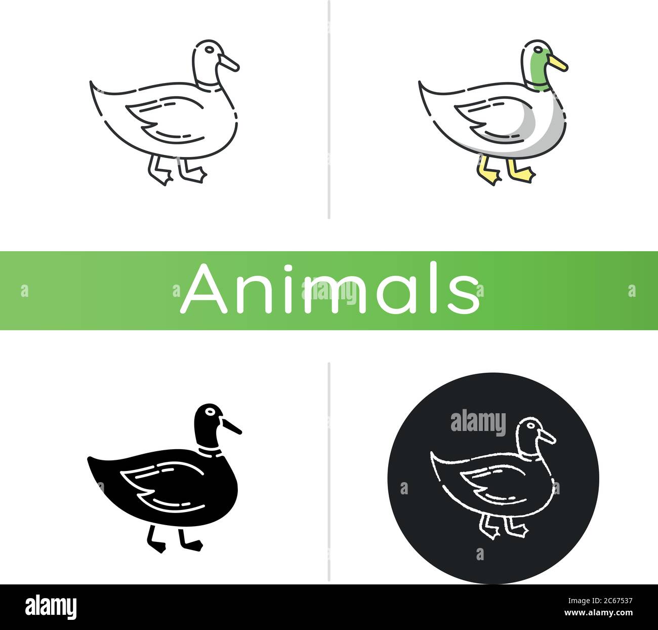 Quack pack Stock Vector Images - Alamy