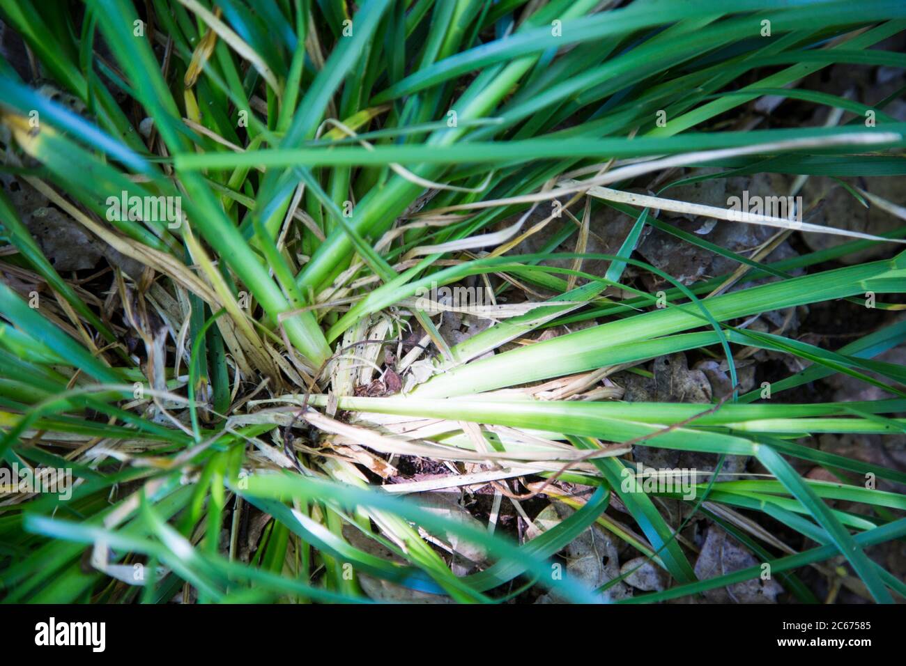 Broad slope hi-res stock photography and images - Alamy