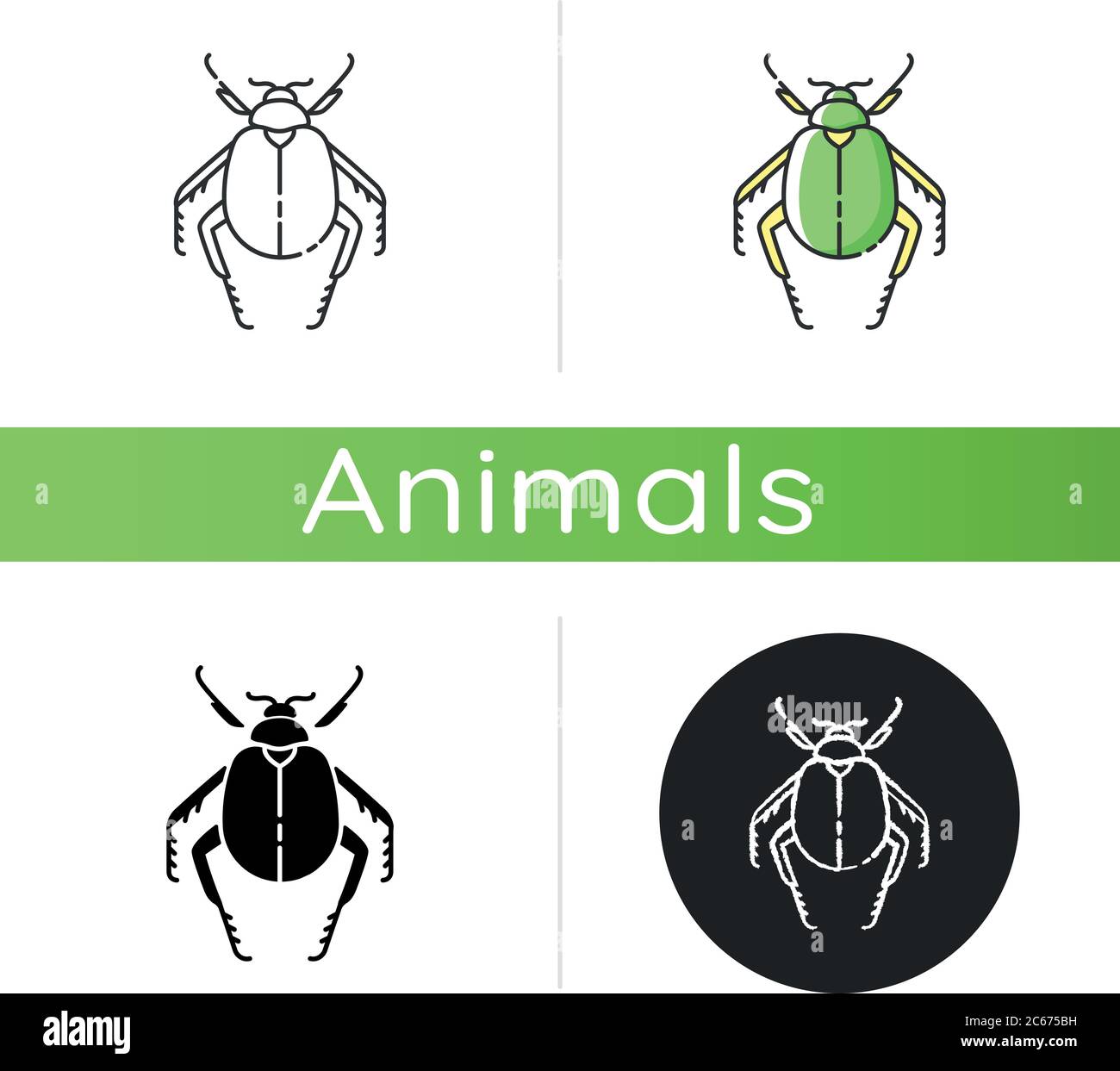 Scarab beetle icon. Linear black and RGB color styles. Small arthropod ...