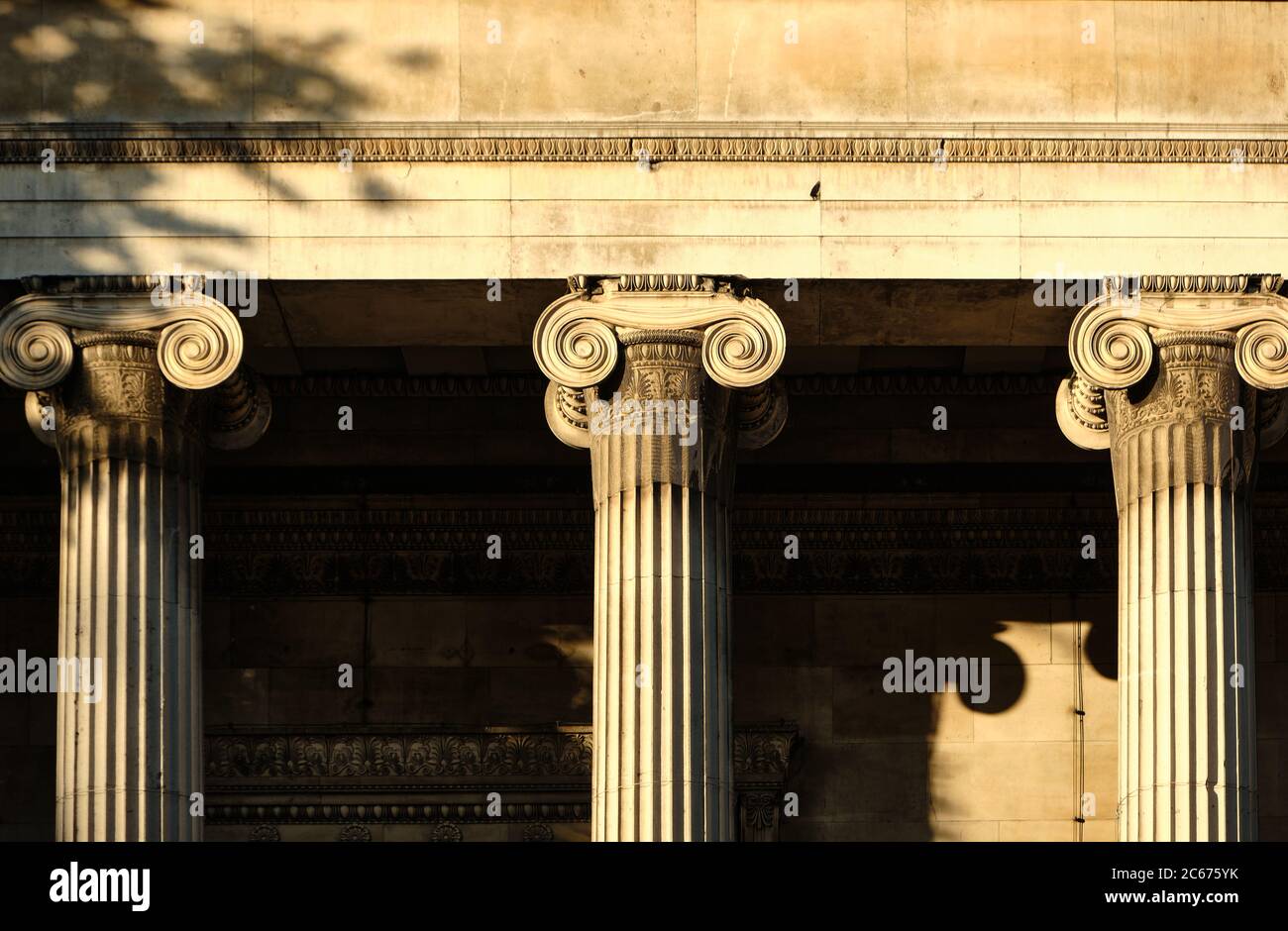 Ionic Order Architecture Set Of Four Ionic Columns In Painted Plaster