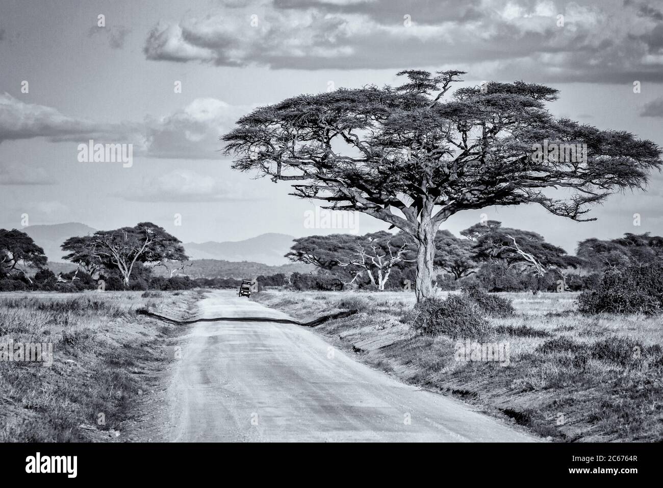 Dirt road stretching through African landscape in black and white ...