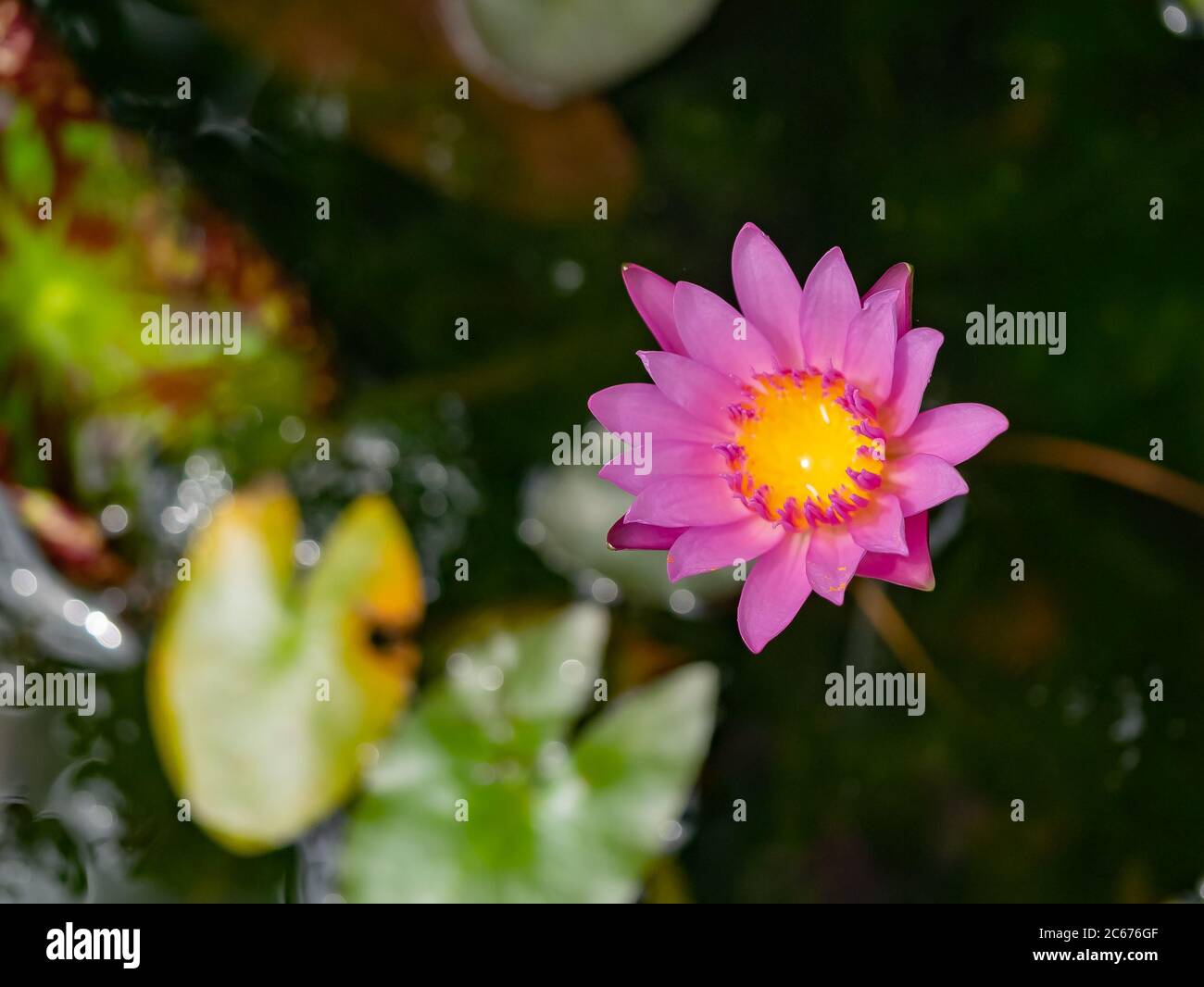 Nilufer lake hi-res stock photography and images - Alamy