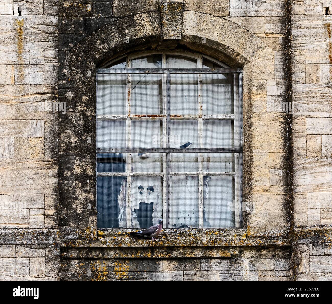 Torn curtain in derelict building window looking like a ghost or The ...