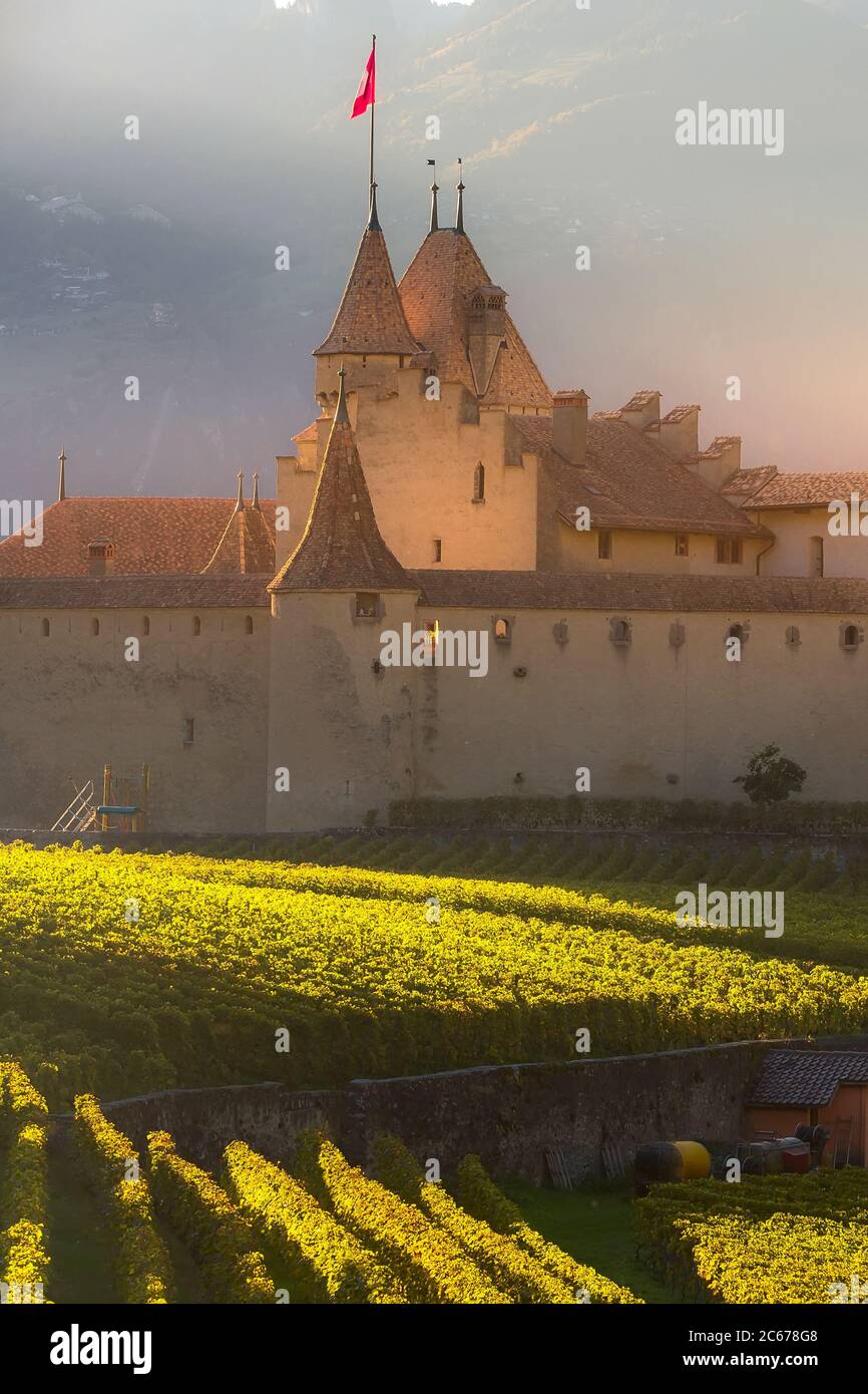 Famous castle Chateau d'Aigle among the vineyards in canton Vaud ...