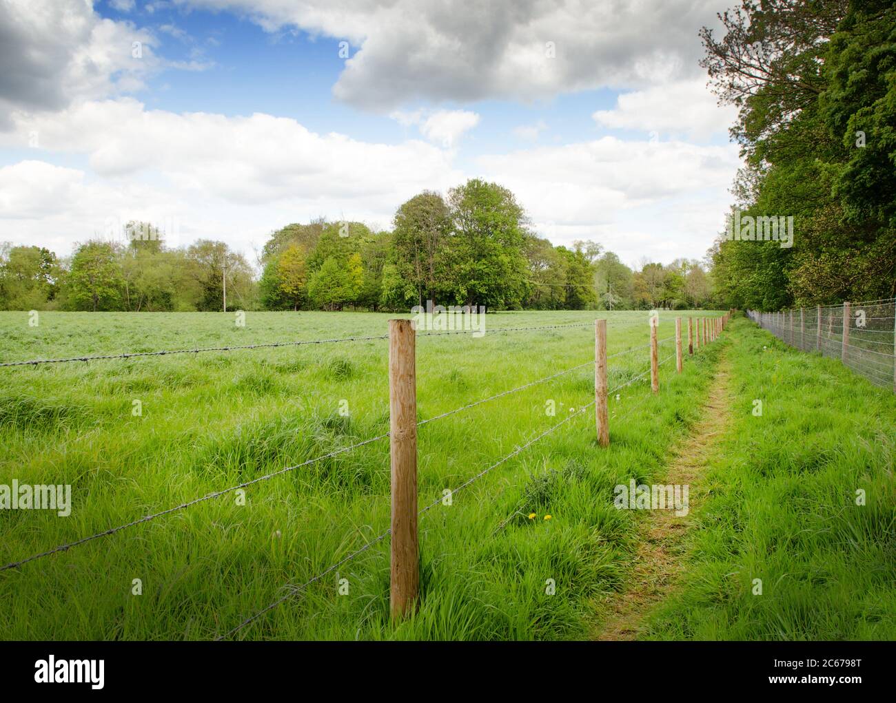 single track pathway with a fence along farmland Stock Photo - Alamy