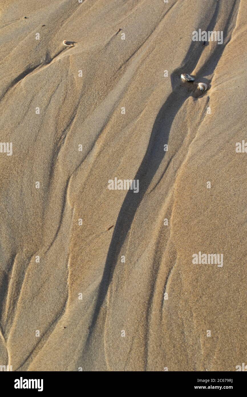 Sand structures at the beach Stock Photo - Alamy