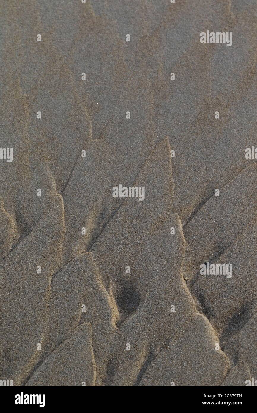 Sand structures at the beach Stock Photo - Alamy