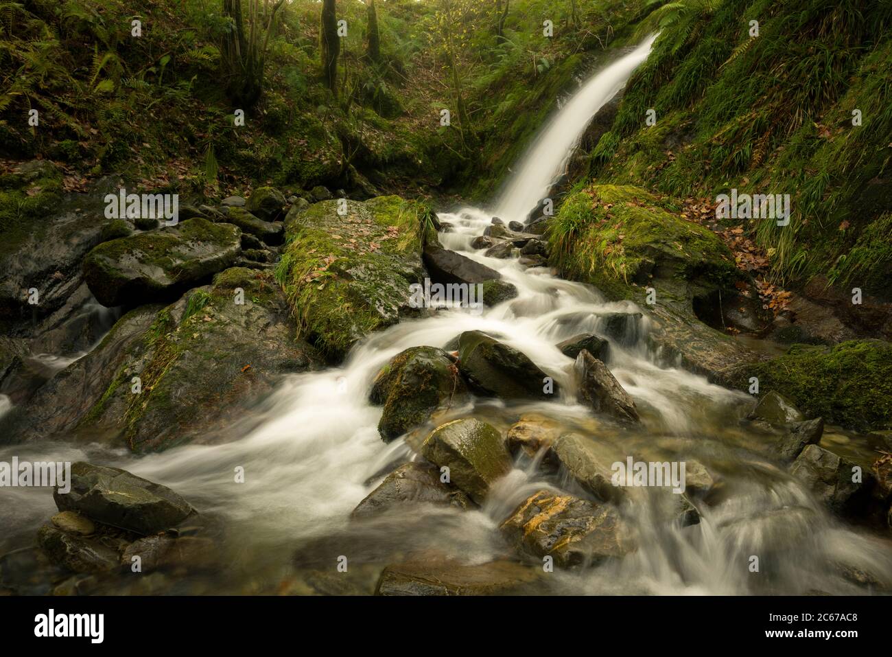 Holme Force in Holme Wood above Loweswater in the Lake District ...