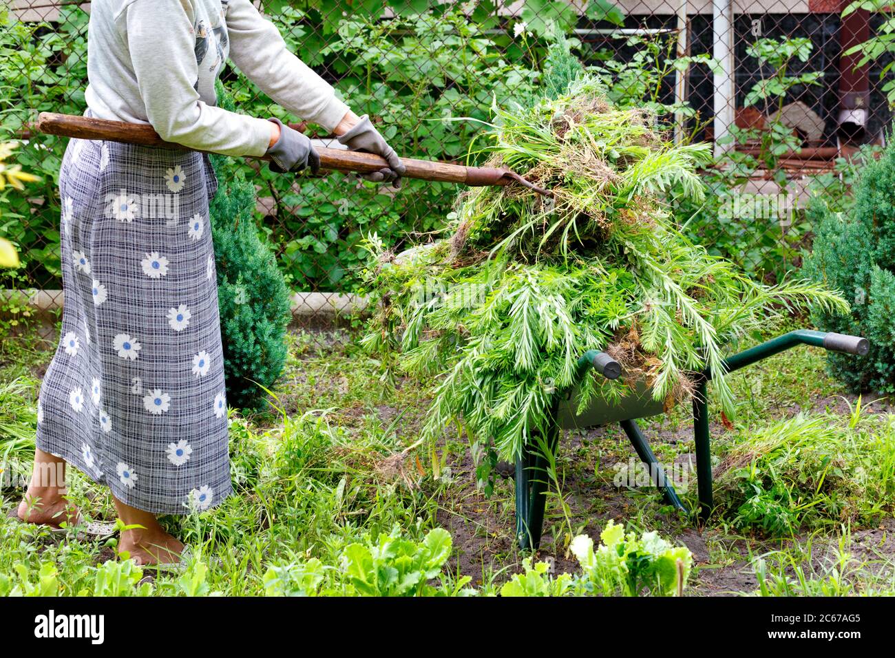 Old pitchfork hi-res stock photography and images - Alamy