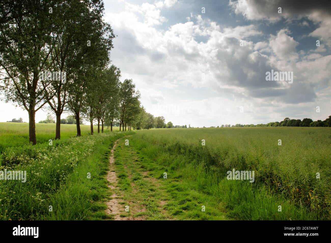 single track pathway along a farmland Stock Photo - Alamy