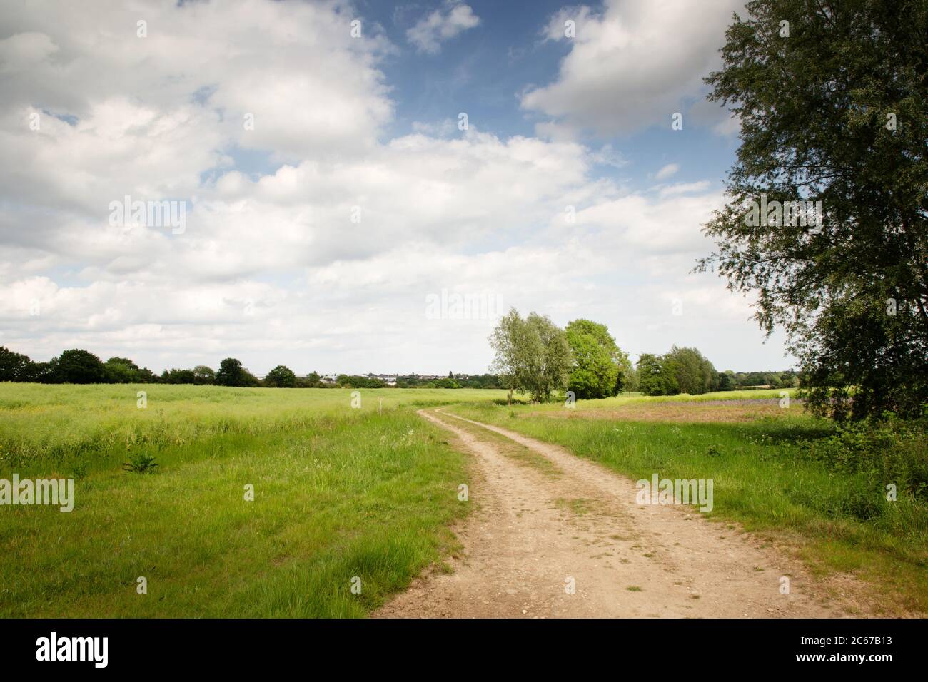 single track roadway along farmland Stock Photo - Alamy