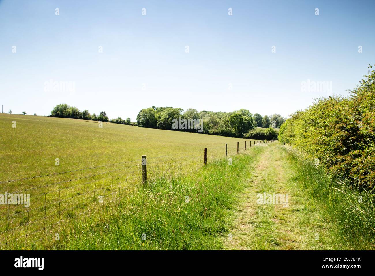 single track pathway with a fence along farmland Stock Photo - Alamy
