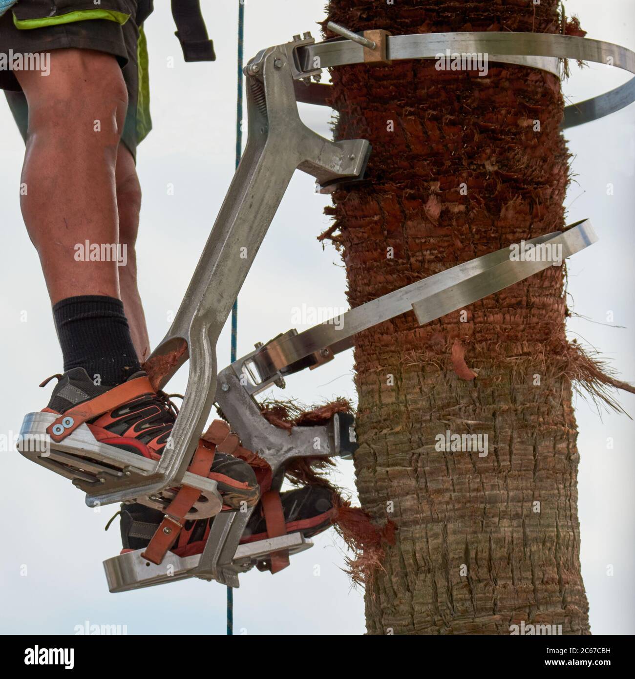 Professional gardeners tools hi-res stock photography and images - Alamy