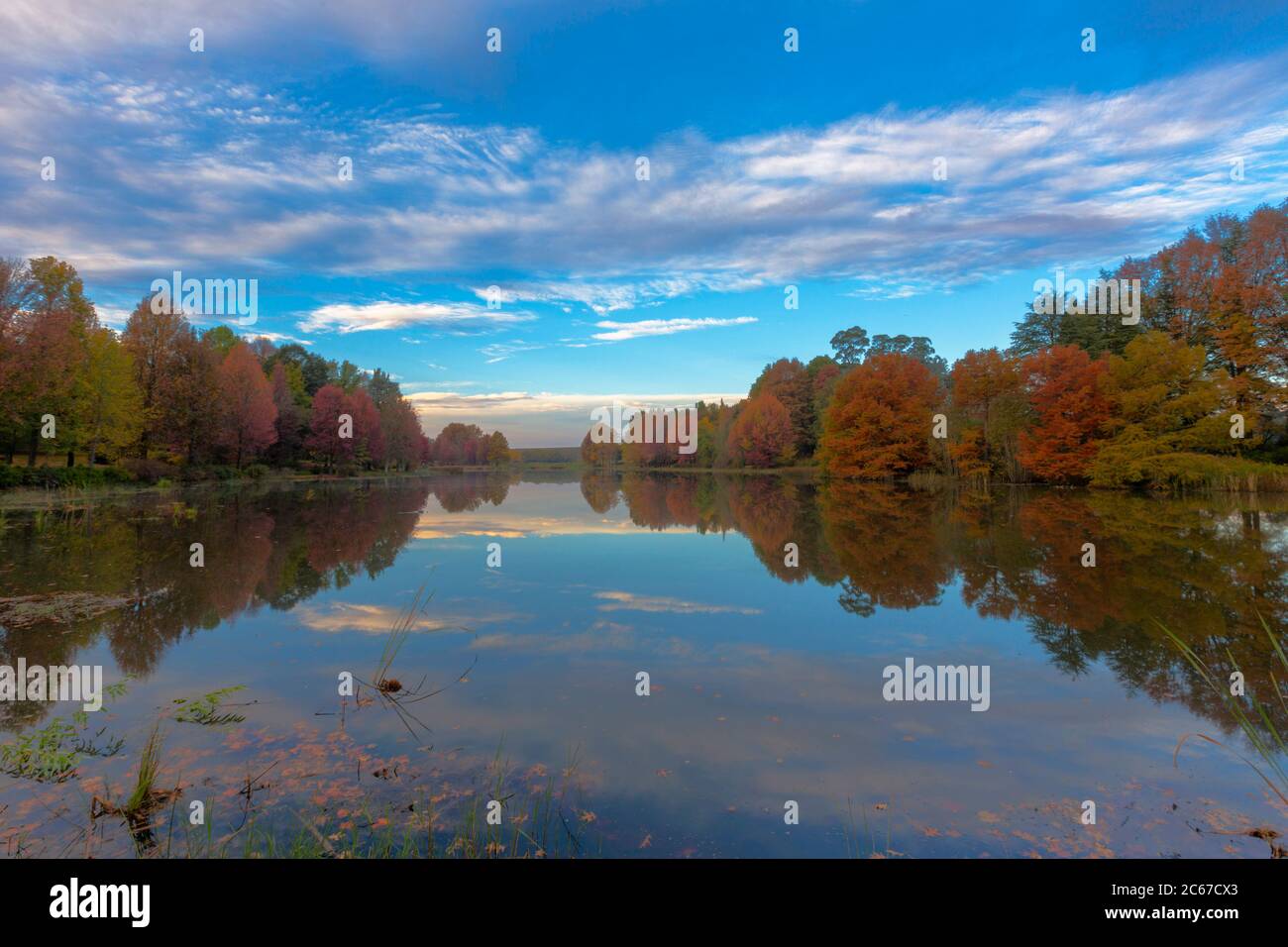 Autumn colored trees next to the pond Stock Photo - Alamy