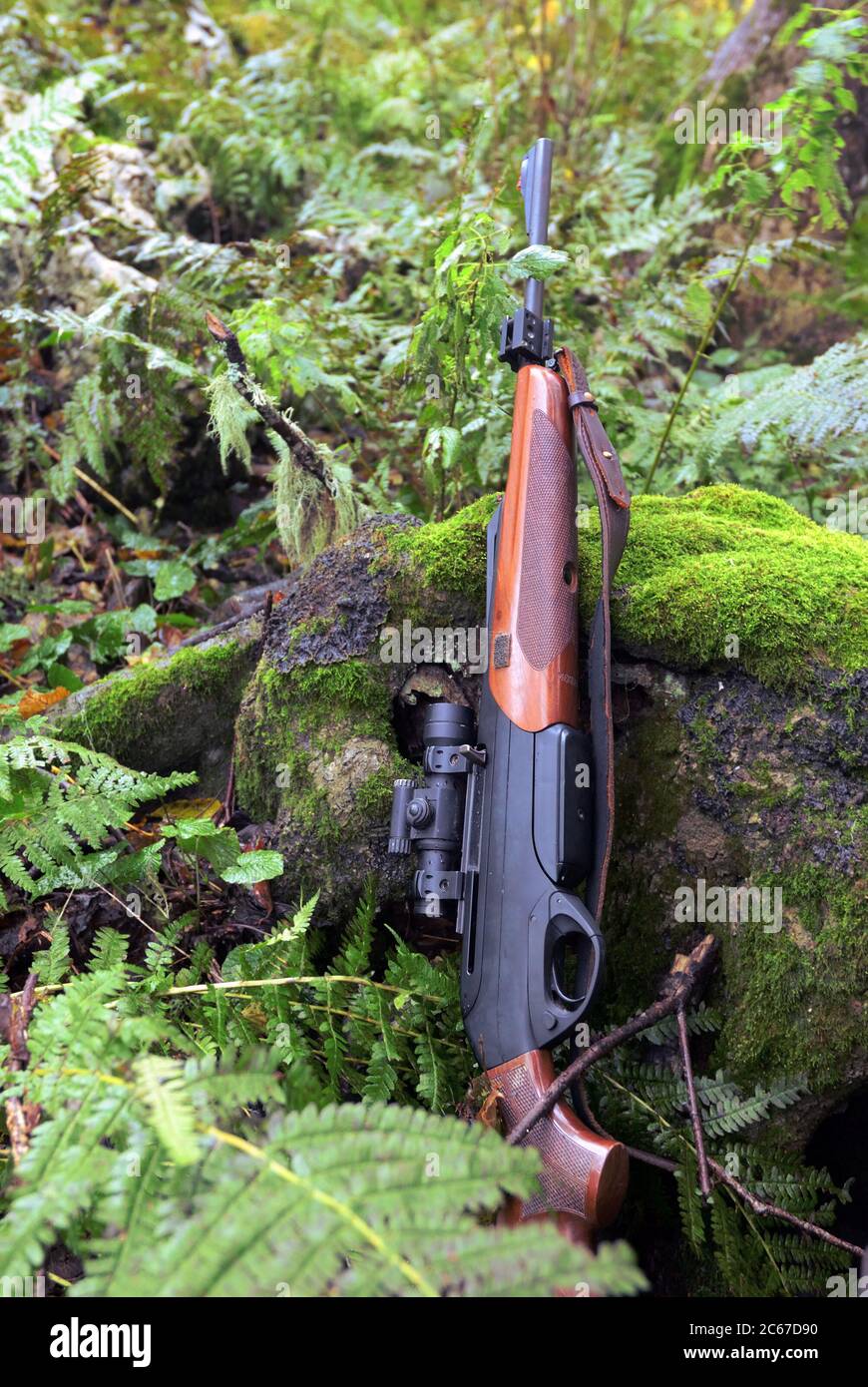 Hunter in the autumn forest with a rifle at sunrise Stock Photo - Alamy