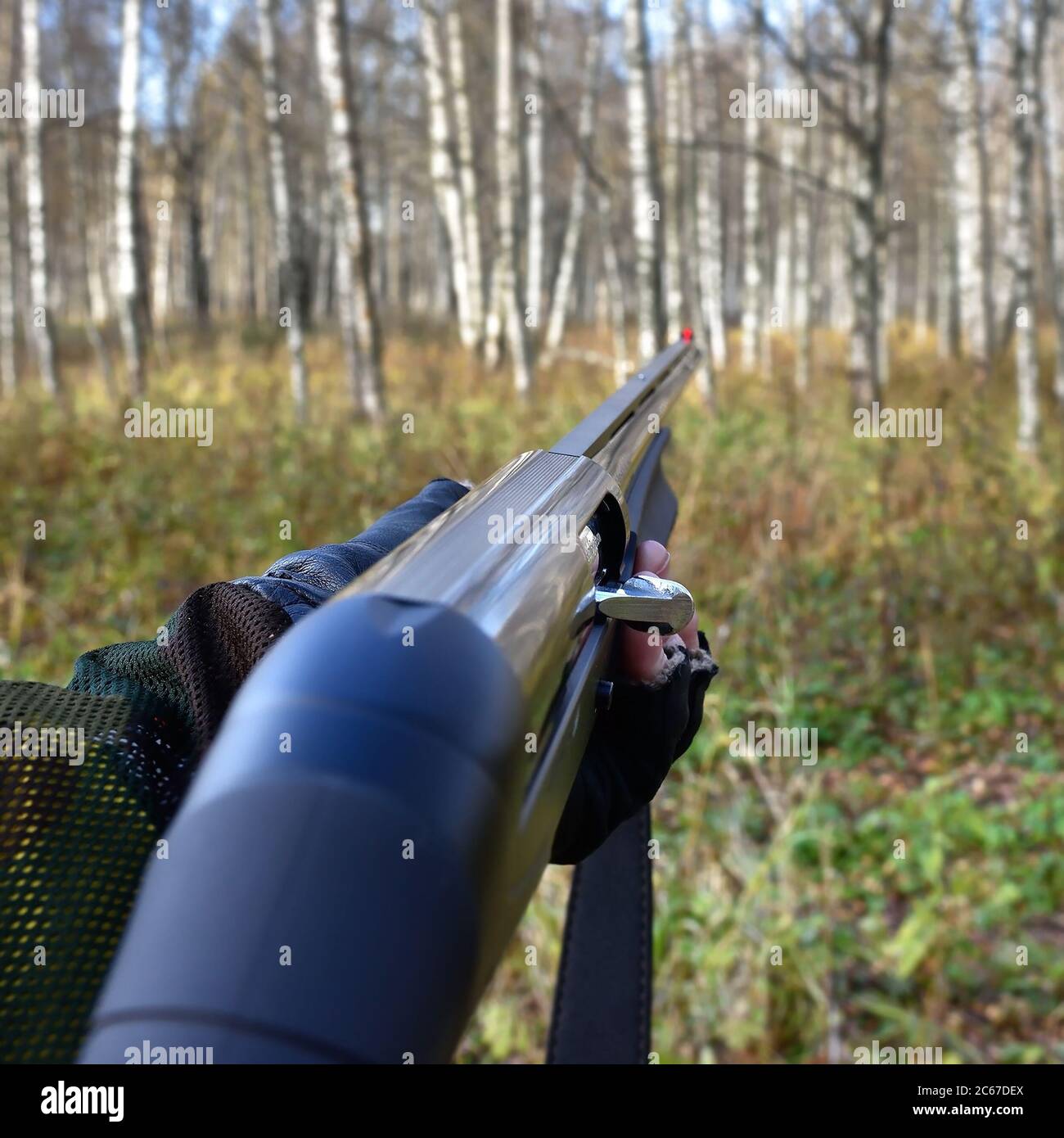 Hunting rifle in hands of hunter aimed at the autumn forest in ...
