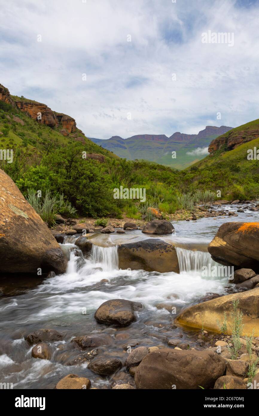 Water flowing in the Boesmans River Stock Photo - Alamy