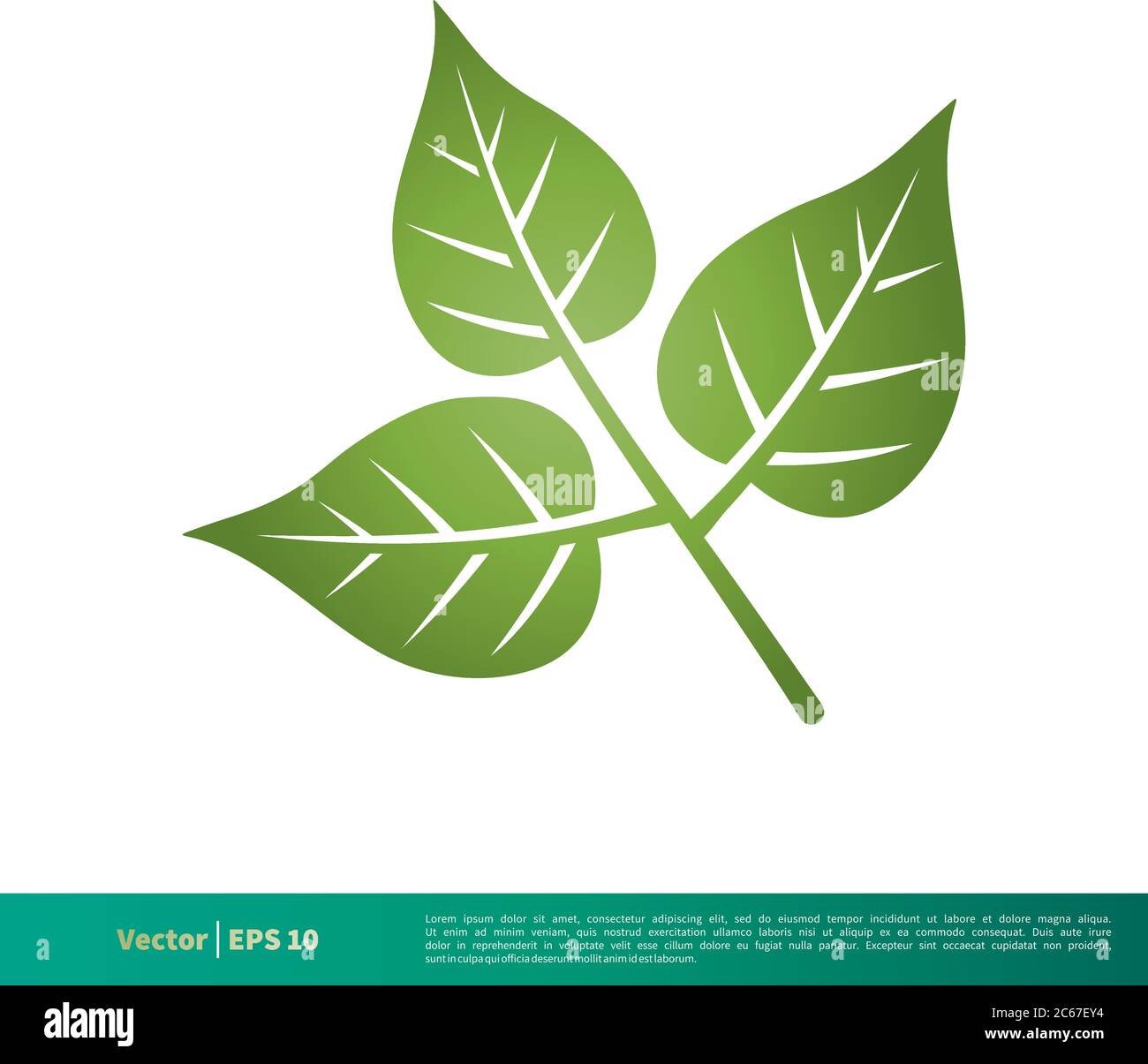 Green Leaf Icon Vector Logo Template Illustration Design. Editable ...
