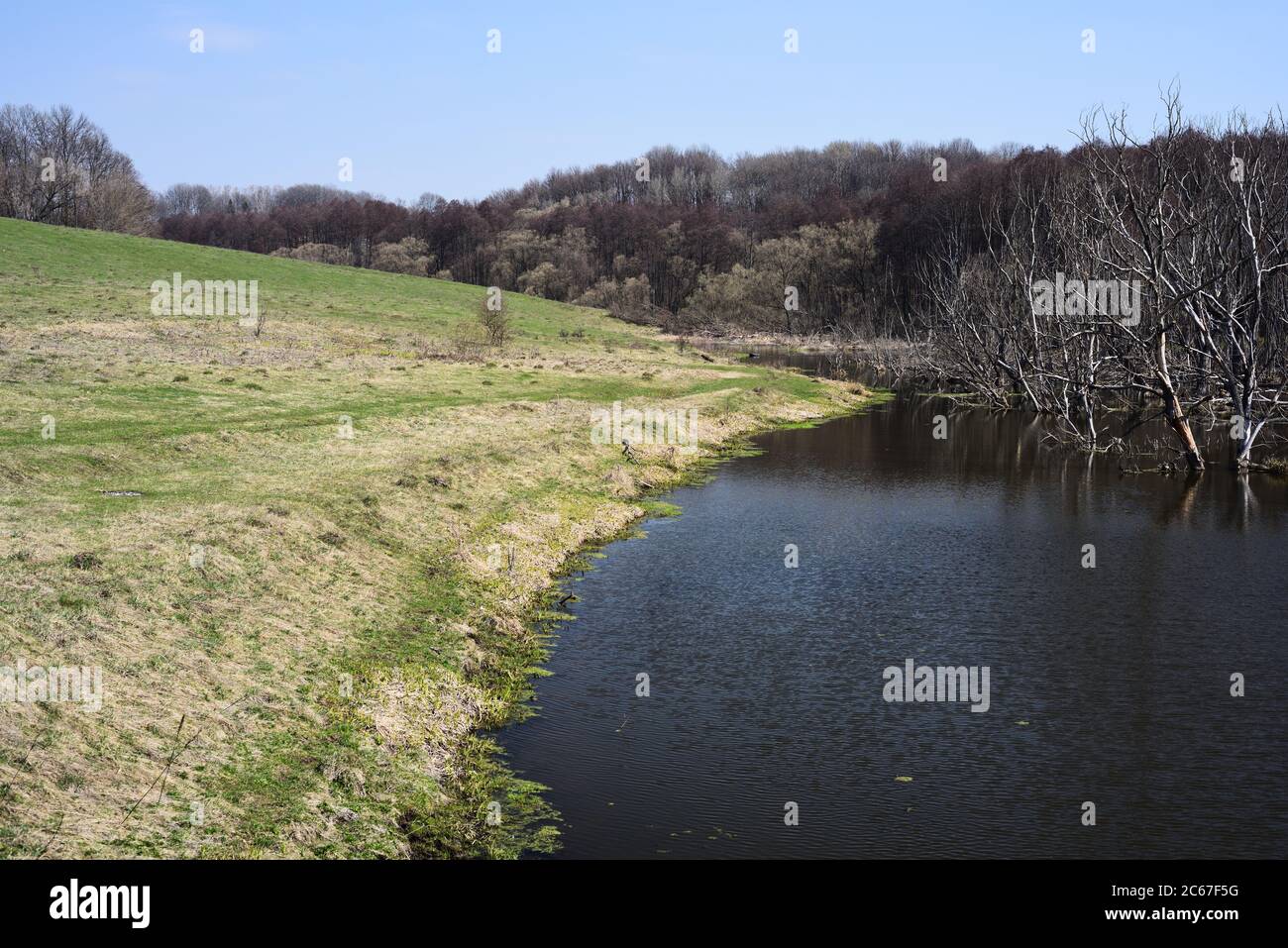 Empty countryside landscape. Small river bank and dry trees in water in ...