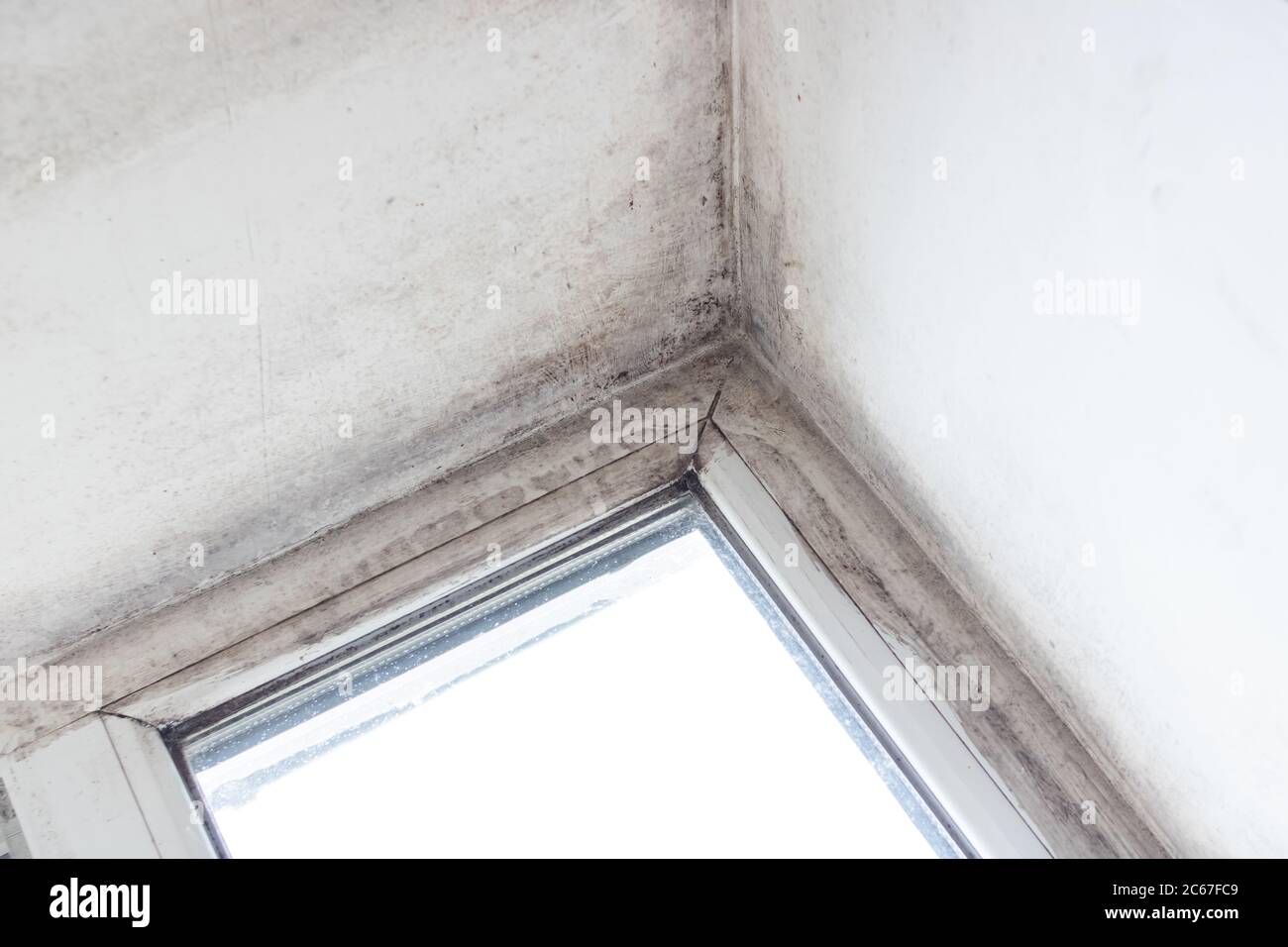 Black mold on a plastic window close up Stock Photo - Alamy