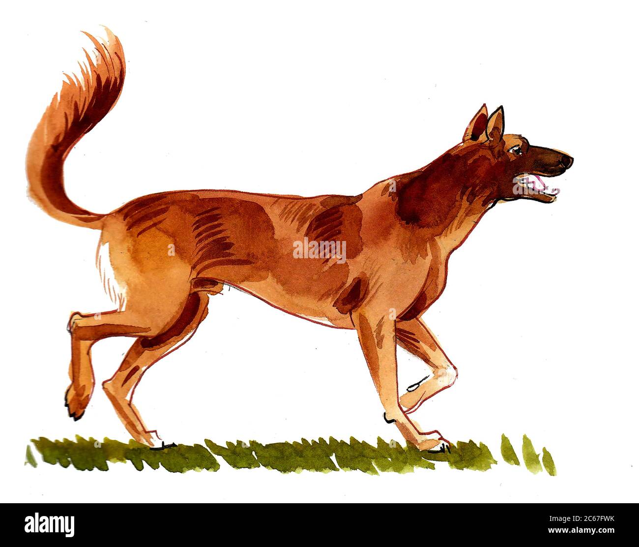 Dog running activity Cut Out Stock Images & Pictures - Alamy