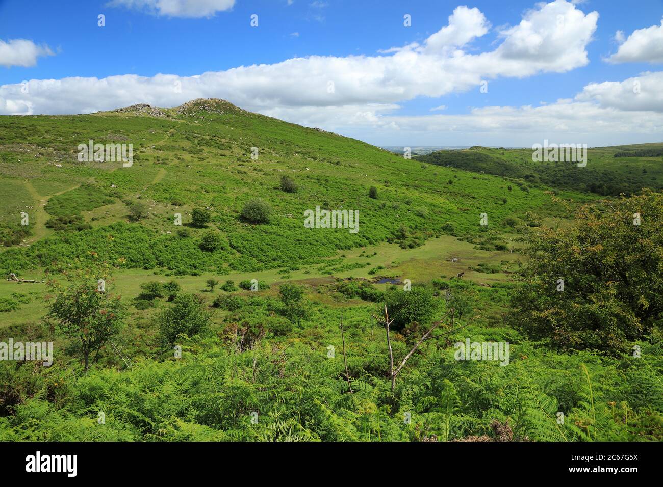 Sharp tor, Dartmoor, Devon, England, UK Stock Photo - Alamy