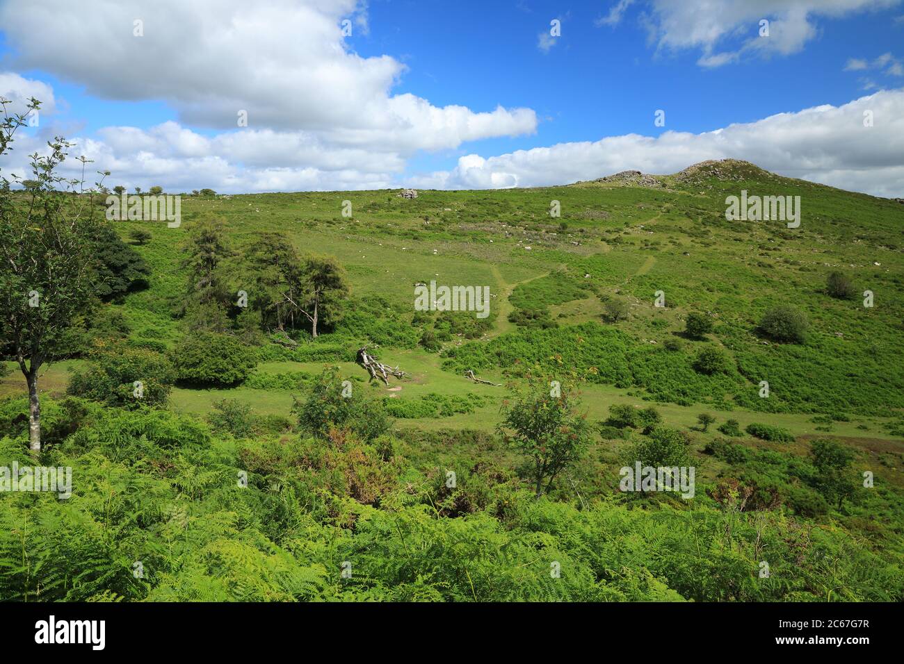 Sharp tor, Dartmoor, Devon, England, UK Stock Photo - Alamy