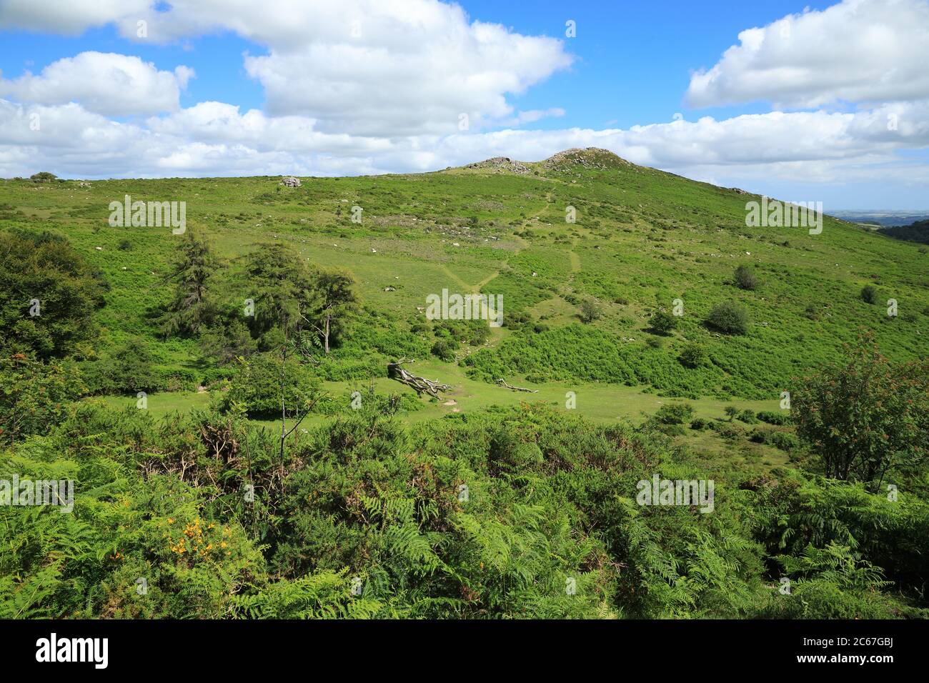 Sharp tor, Dartmoor, Devon, England, UK Stock Photo - Alamy