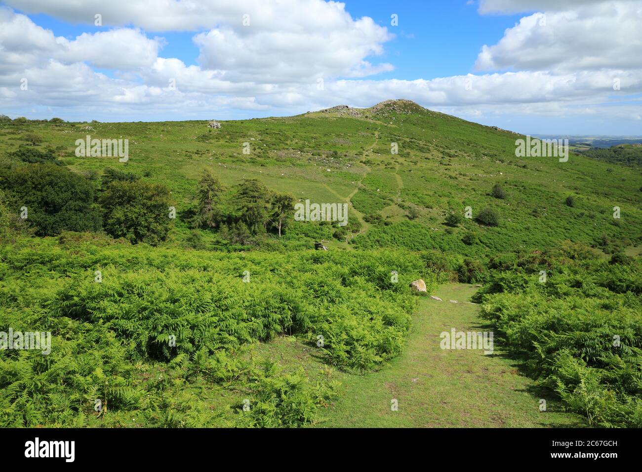 Sharp tor, Dartmoor, Devon, England, UK Stock Photo - Alamy