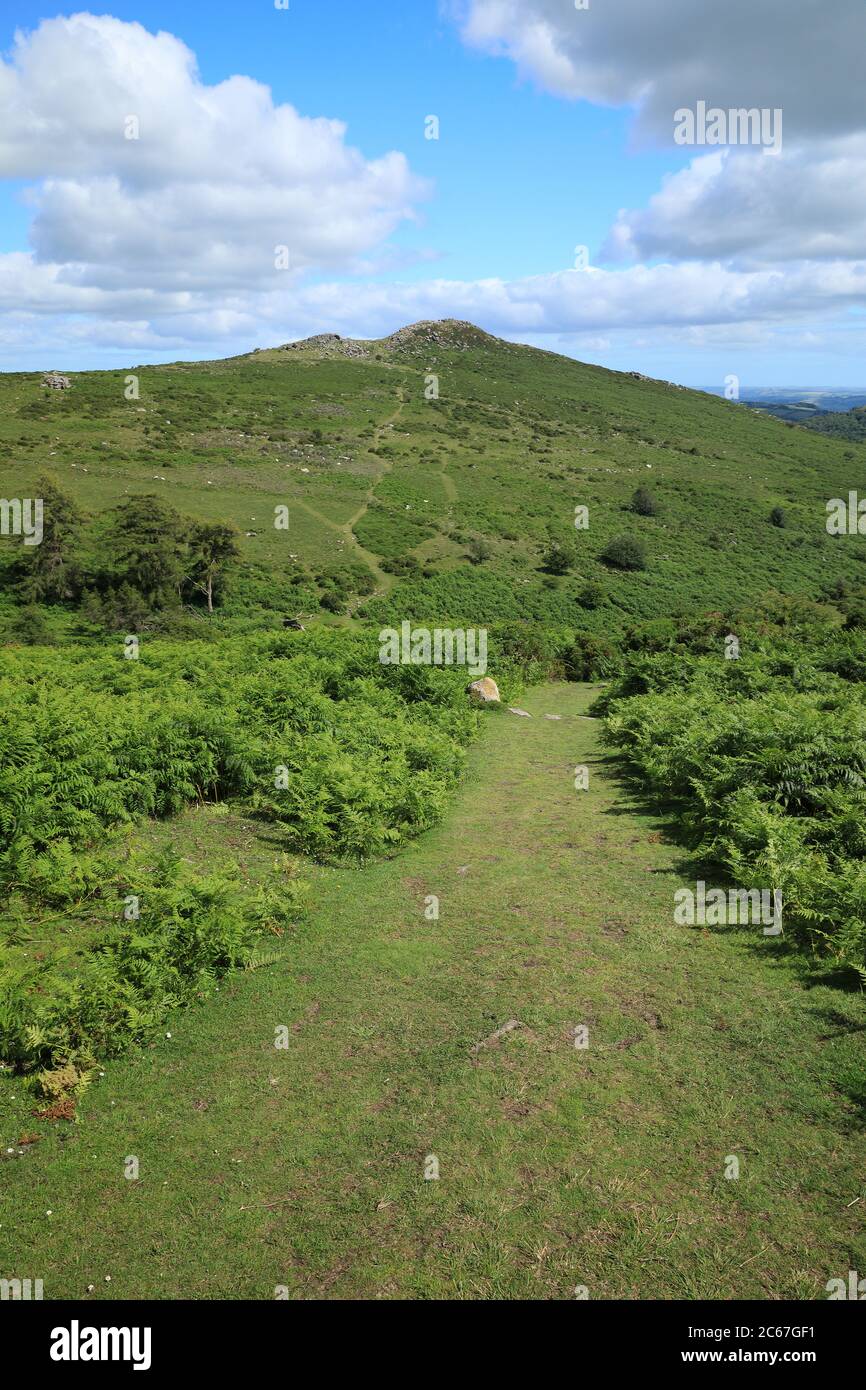 Sharp tor, Dartmoor, Devon, England, UK Stock Photo - Alamy
