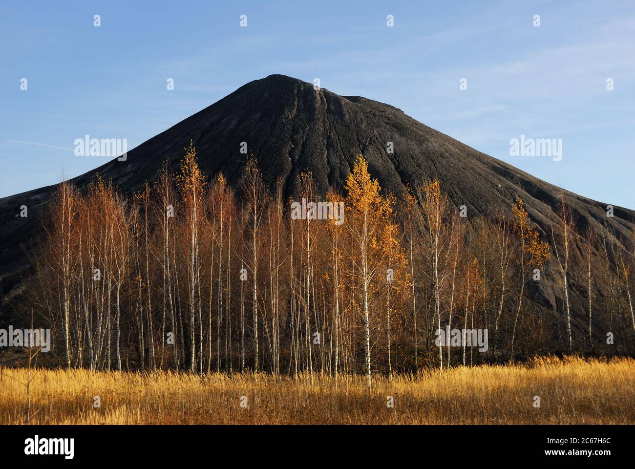 Beautiful fall scenery with yellow grass, birch trees and hills. Russia ...