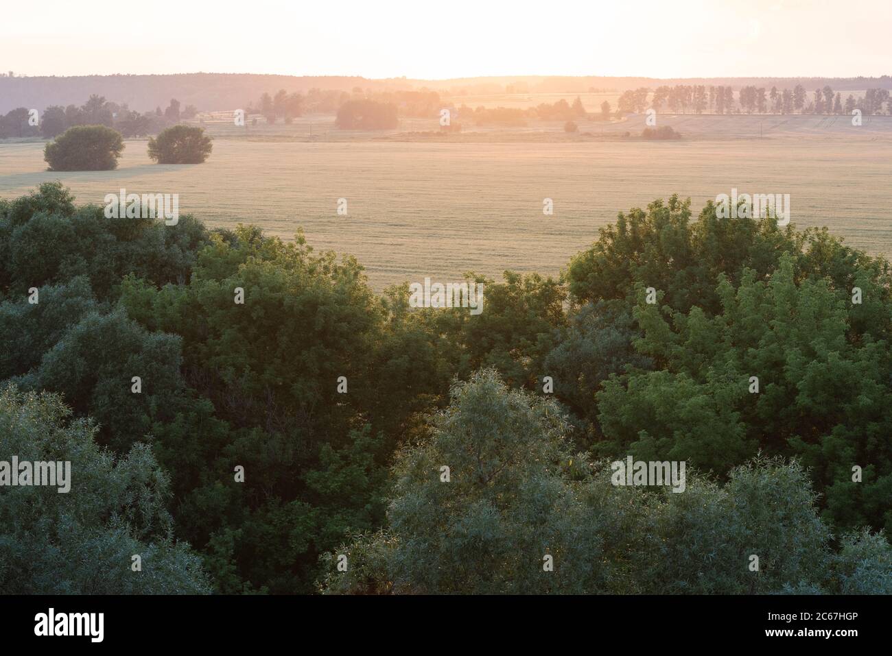 Warm back light hi-res stock photography and images - Alamy