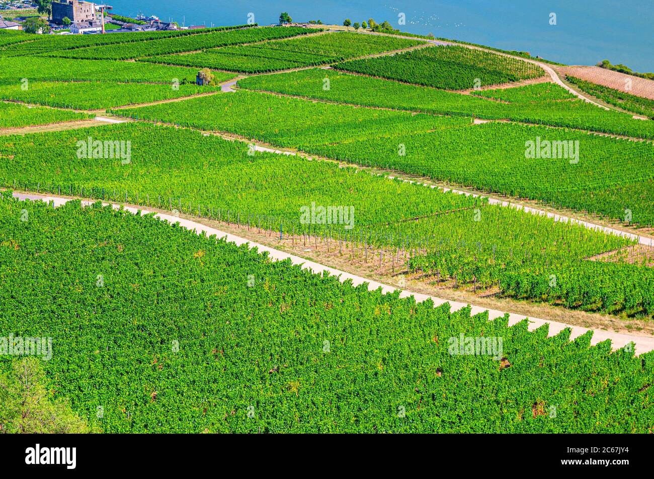 Rhein rheingau wine region hi-res stock photography and images - Alamy