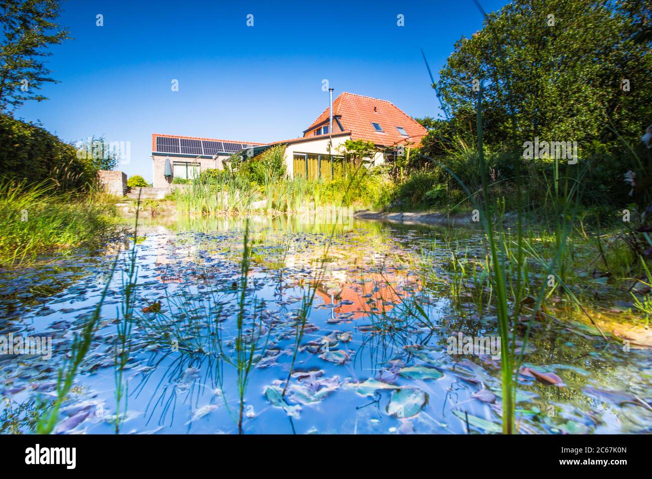 House with garden pond hi-res stock photography and images - Alamy