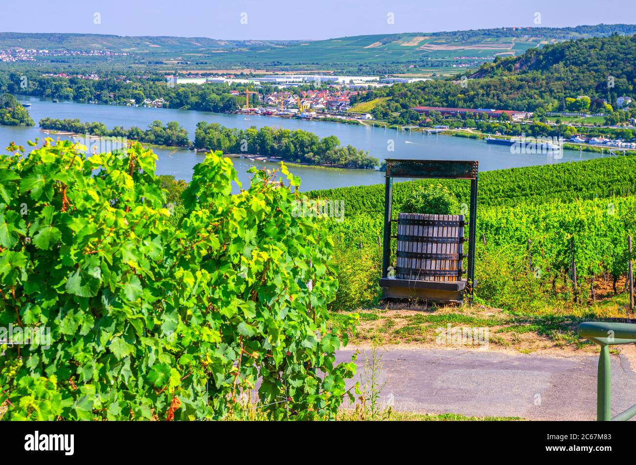 River grape hi-res stock photography and images - Alamy