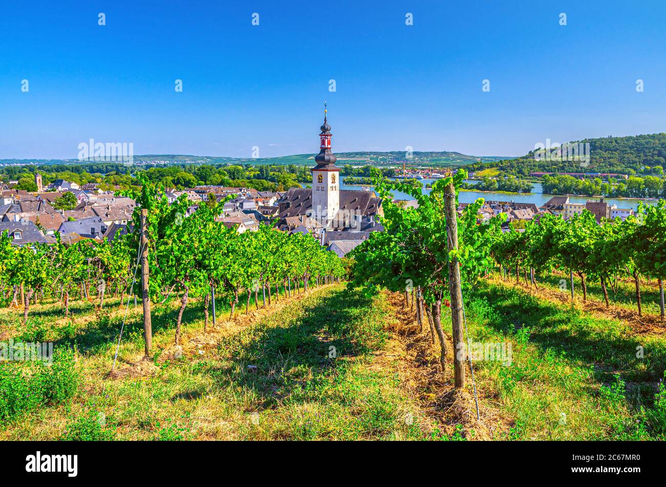 Aerial view of vineyards Rheingau wine region, Rudesheim am Rhein ...