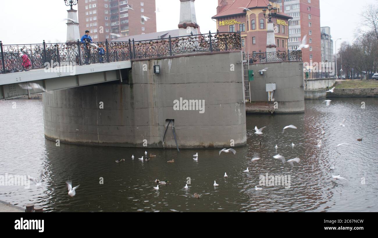 Kaliningrad is a city with a long and interesting history and unusual ...