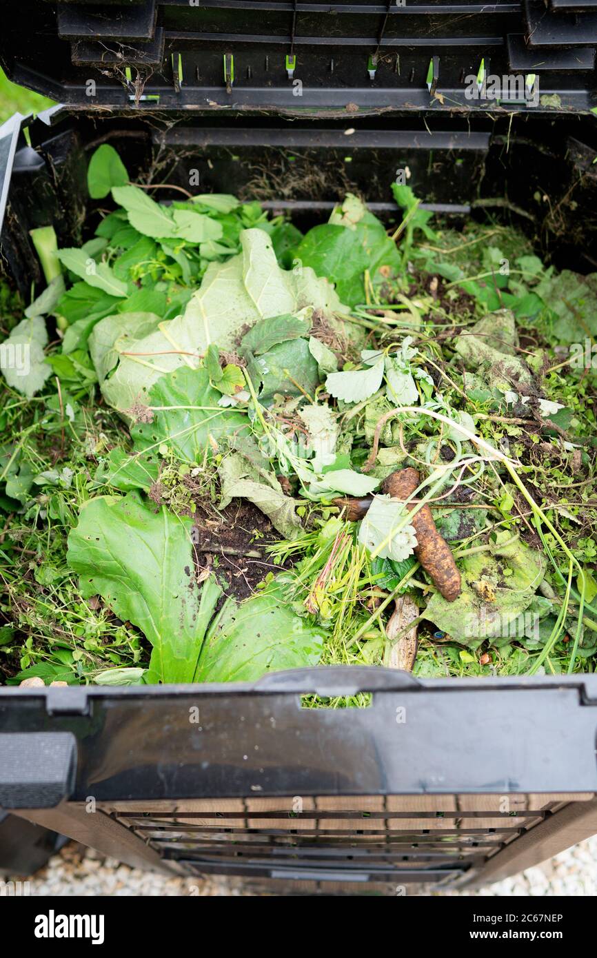 Top view inside of compost container bin outdoors Stock Photo - Alamy