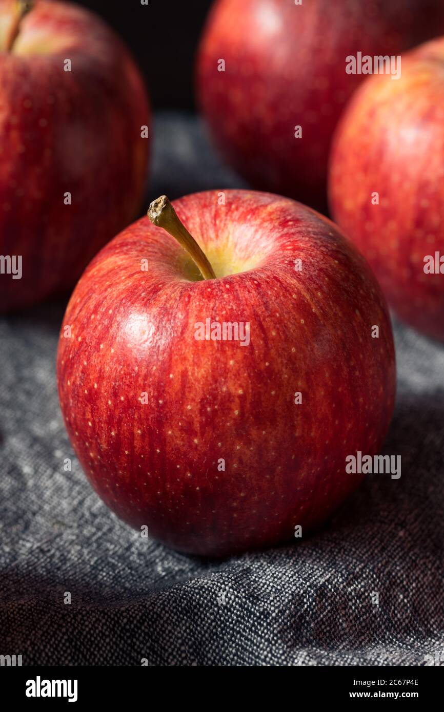 Raw Red Organic Gala Apples in a Bunch Stock Photo - Alamy