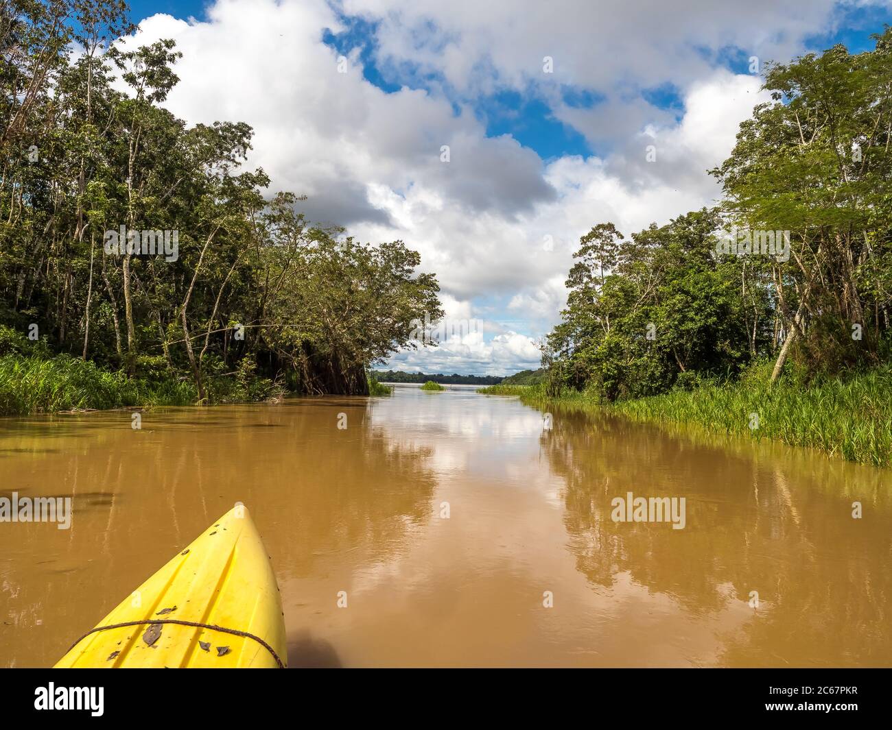 View from the kayak on the wall of green tropical forest in the Amazon ...