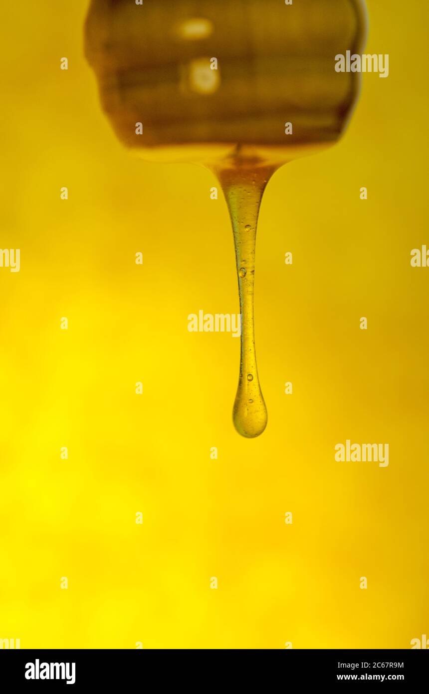 Dripping golden honey. Orange honey splashes. Honey flow dropping Stock ...