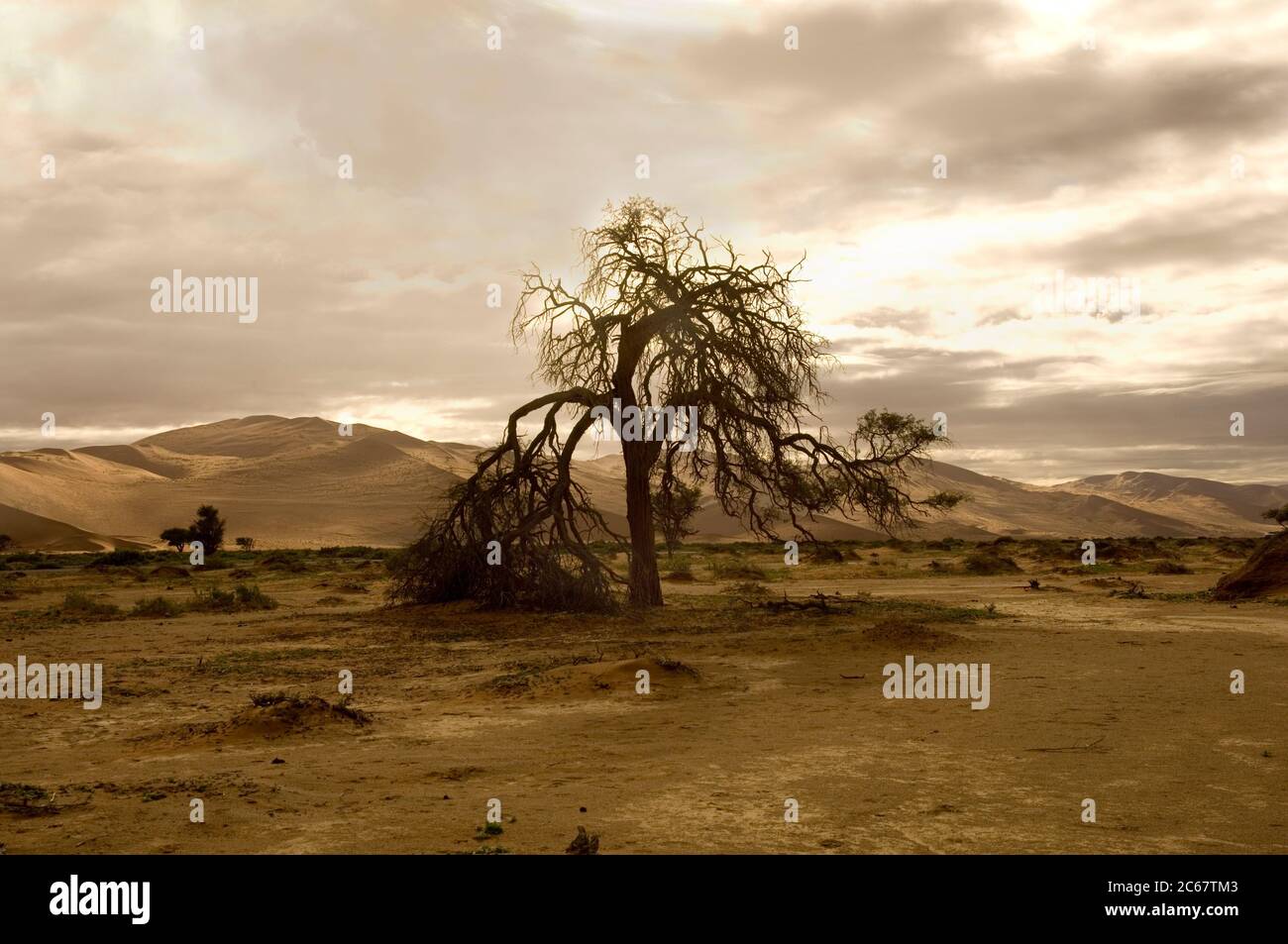Namib Desert Trekking High Resolution Stock Photography and Images - Alamy