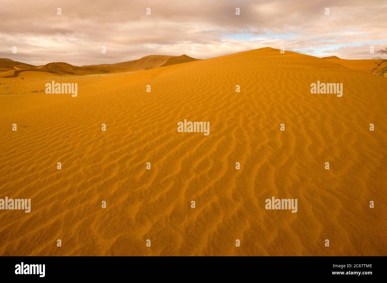 Namib Desert Trekking High Resolution Stock Photography and Images - Alamy