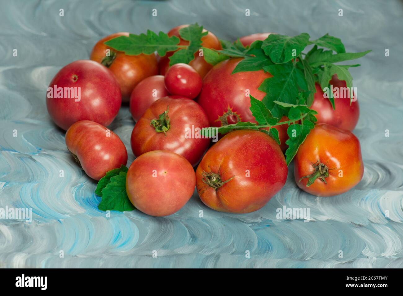 Tomato varieties have name Dwarf Firebird sweet. Fresh ripe pink beef ...