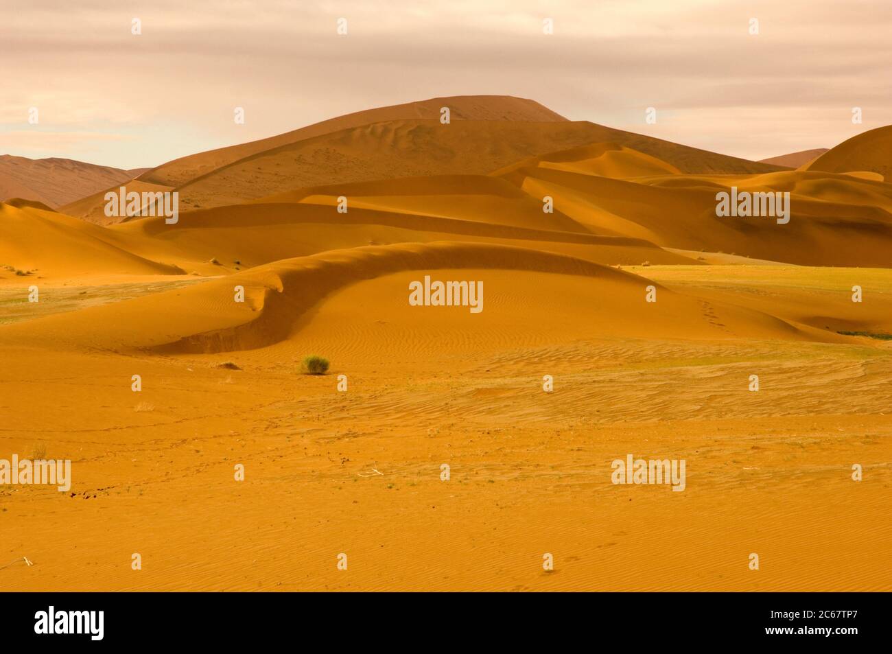 Namib Desert Trekking High Resolution Stock Photography and Images - Alamy