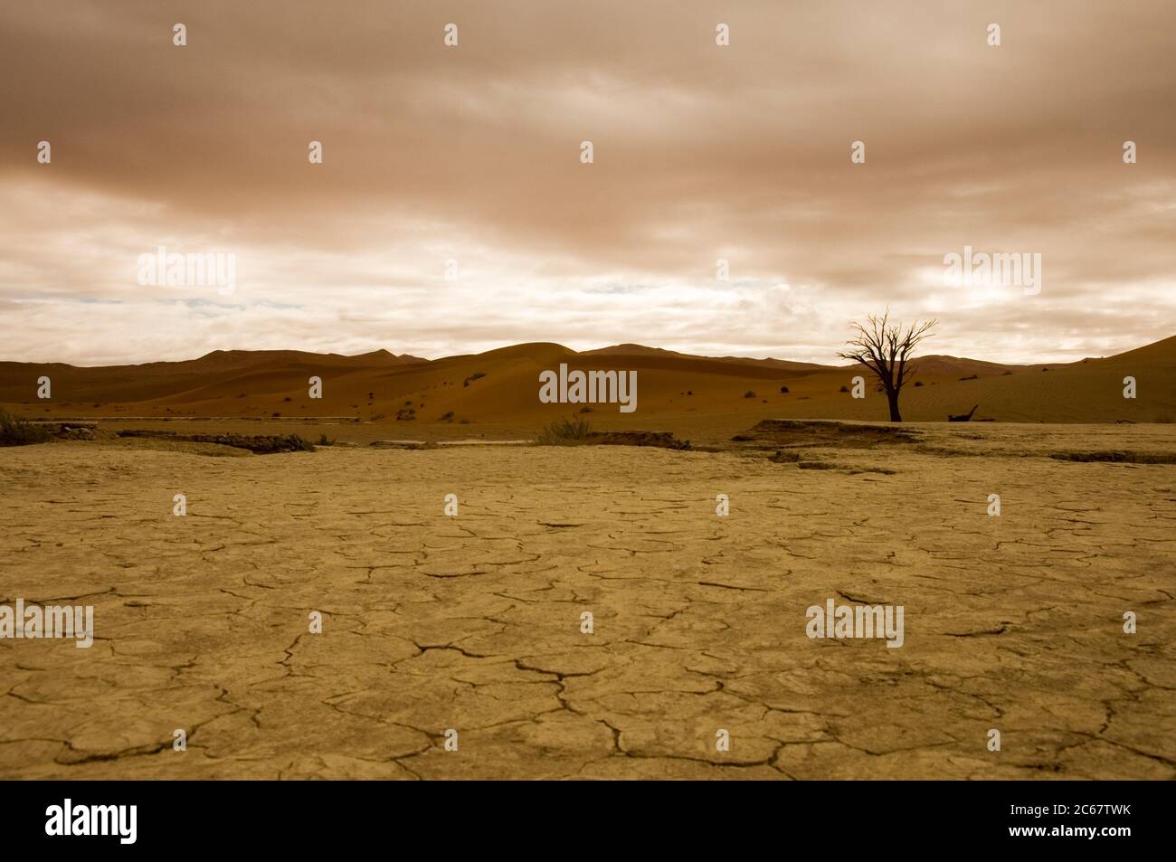 Namib Desert Trekking High Resolution Stock Photography and Images - Alamy