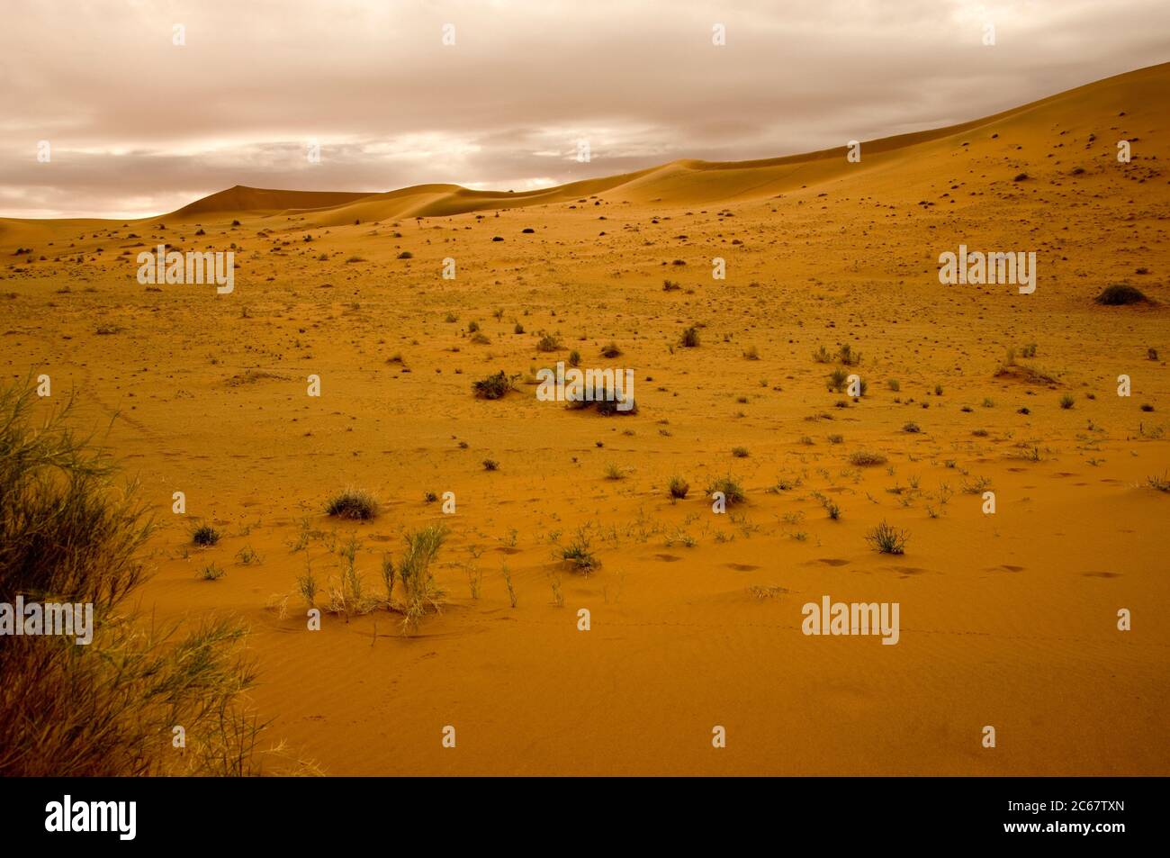 Namib Desert Trekking High Resolution Stock Photography and Images - Alamy